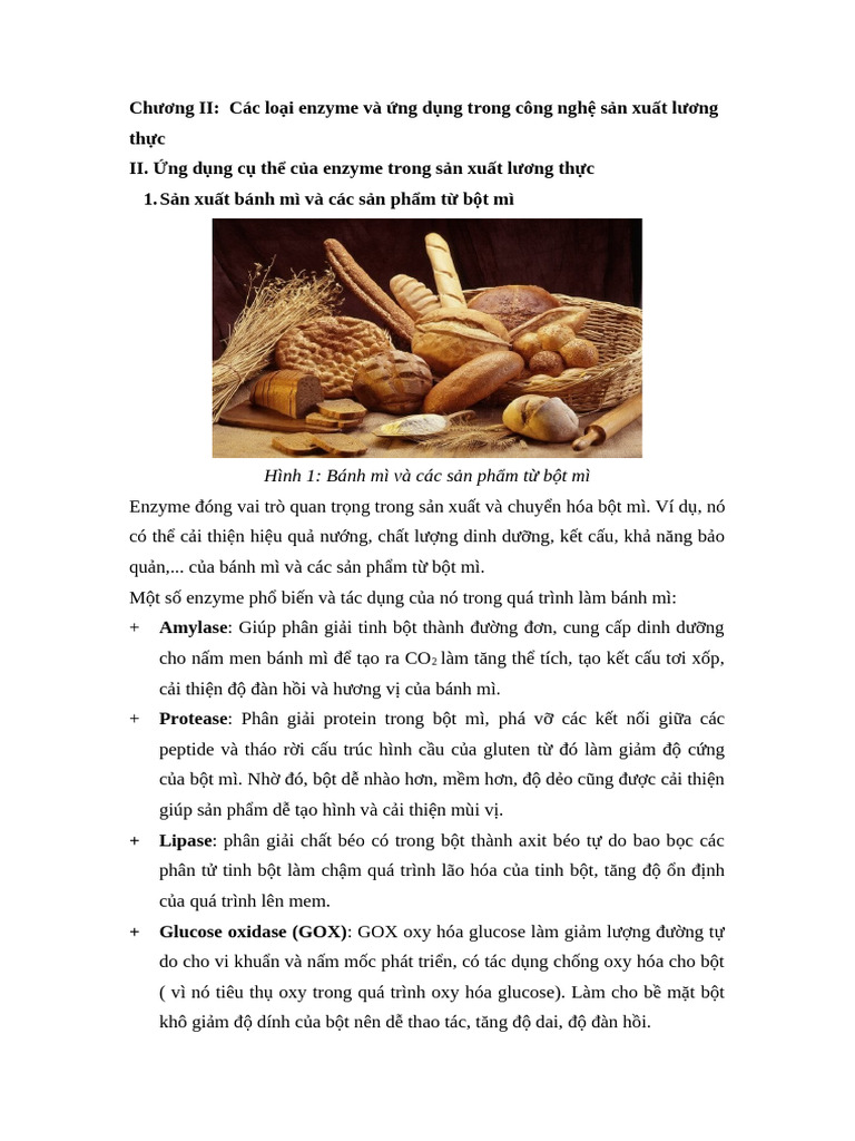 NG D NG Enzyme Trong TP | PDF