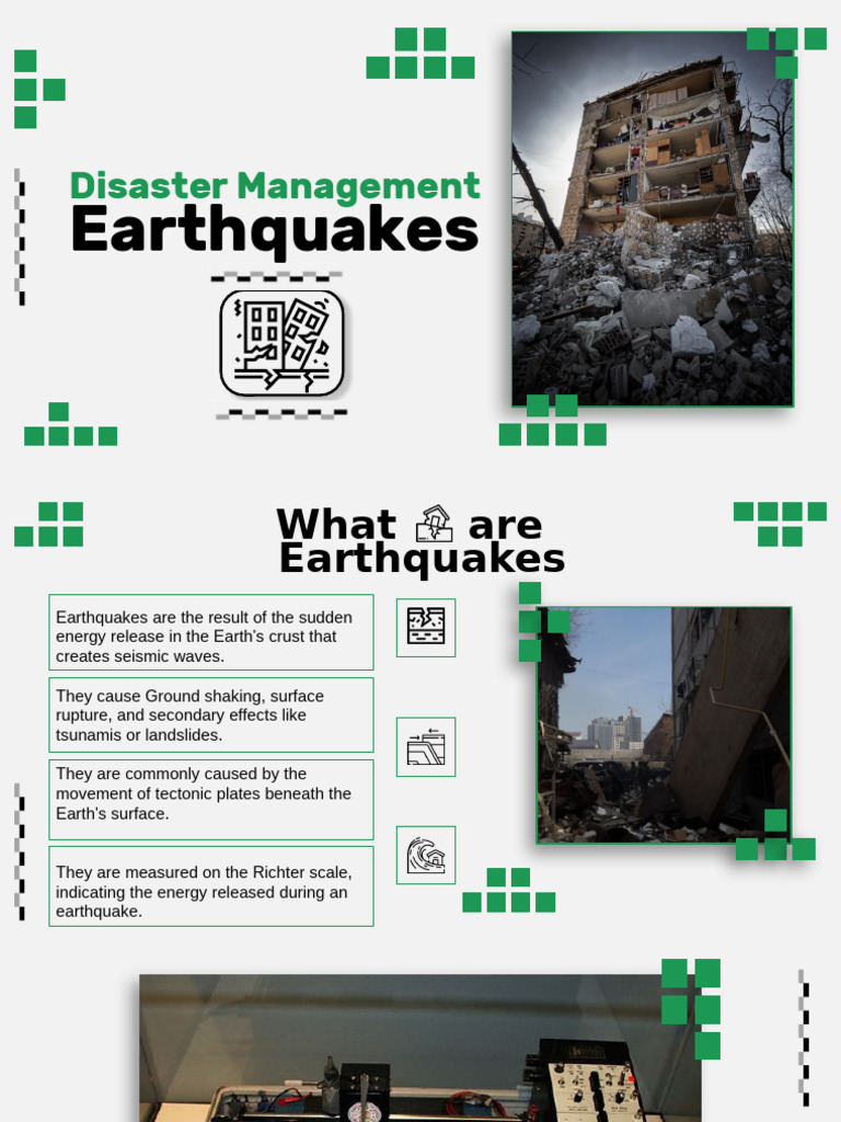 Disaster Management | PDF