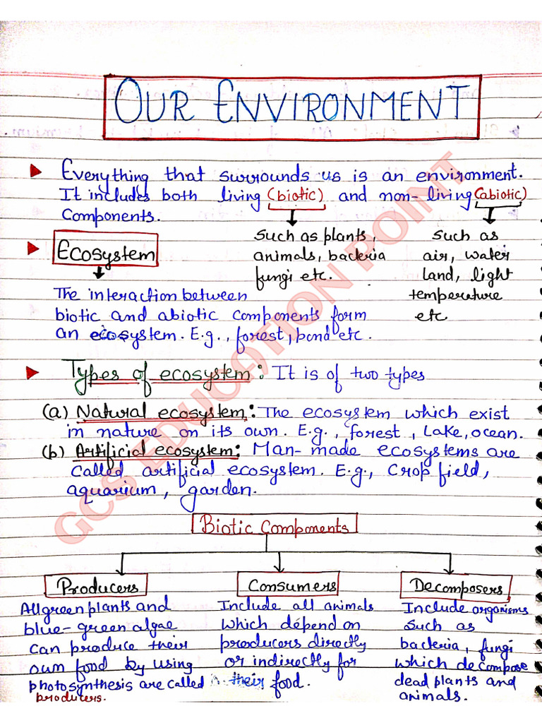 CH 13 Our Environment | PDF
