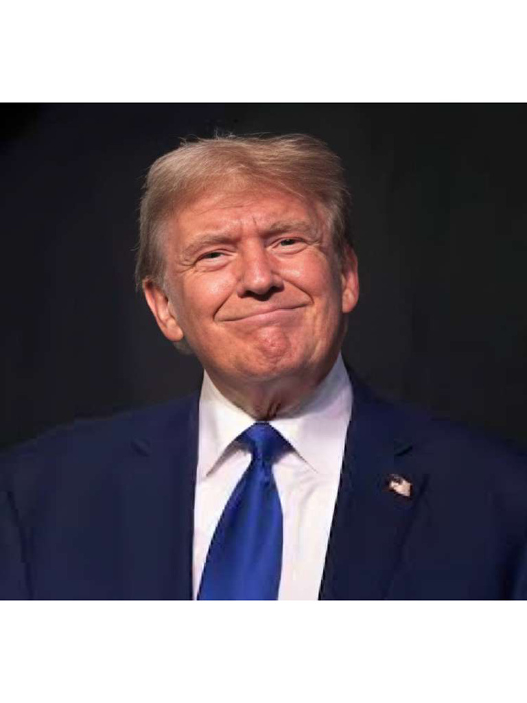 MR Donald Trump | PDF
