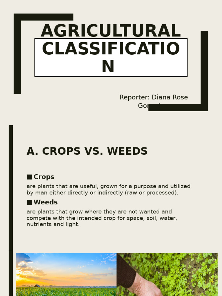 Agricultural Classification Gonzales | PDF