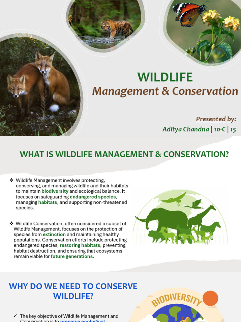Management and Conservation of Resources | PDF