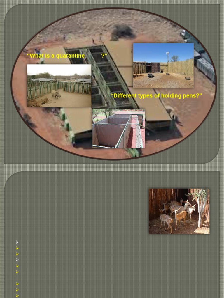 Module 2 Syll 1 - Accommodation of Captive Antelope | PDF