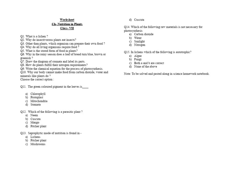 Nutrition in Plants Class 7 Worksheet - Docx - Nutrition in Plants ...