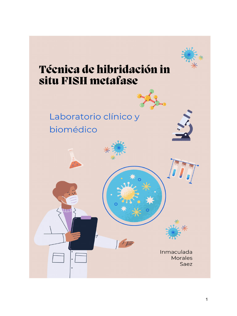 BM Técnica in Situ FISH Metafase | PDF