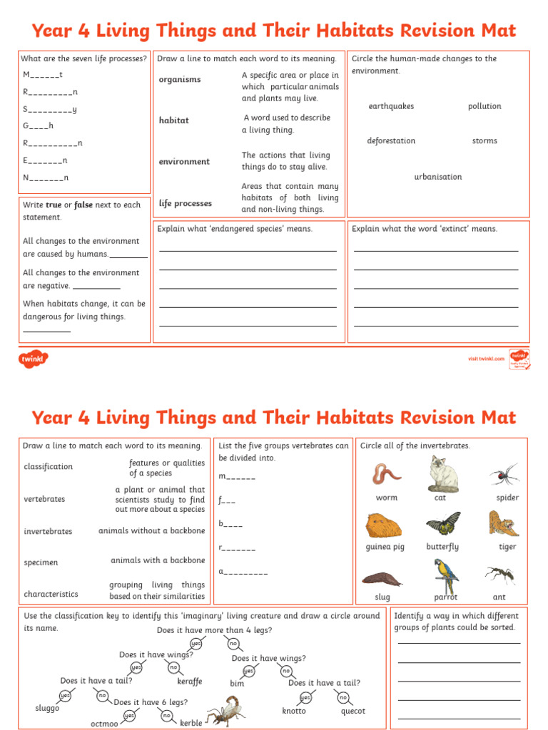 T SC 2550071 ks2 Year 4 Living Things and Their Habitats Revision ...