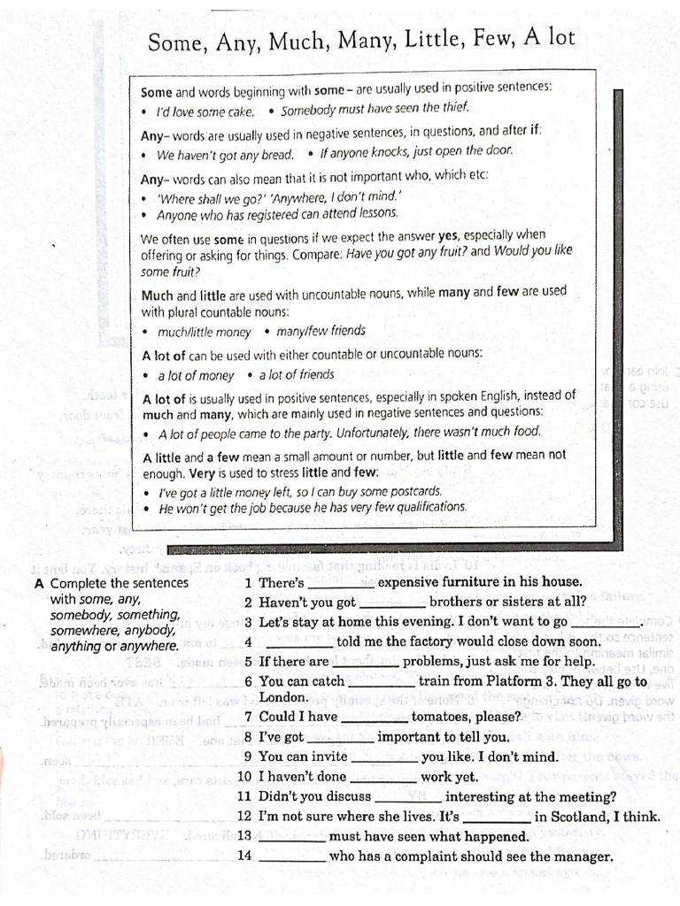Some, Any, Much, Many, Little, Few, A Lot | PDF