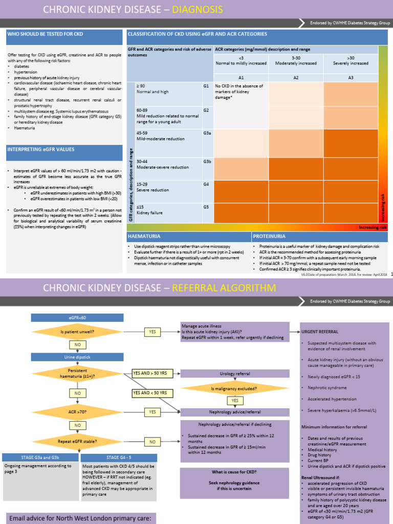 CKD Guidelines v6 Mar | PDF