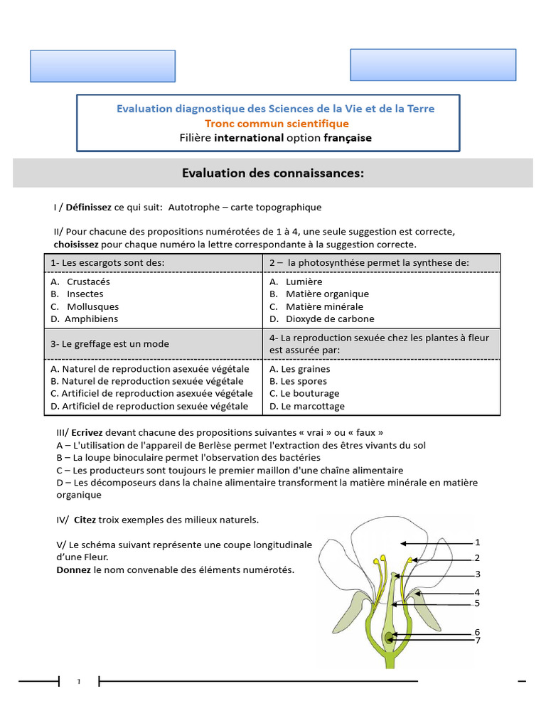 Evaluation Diagnostique SVT Tronc Commun PDF 2 | PDF
