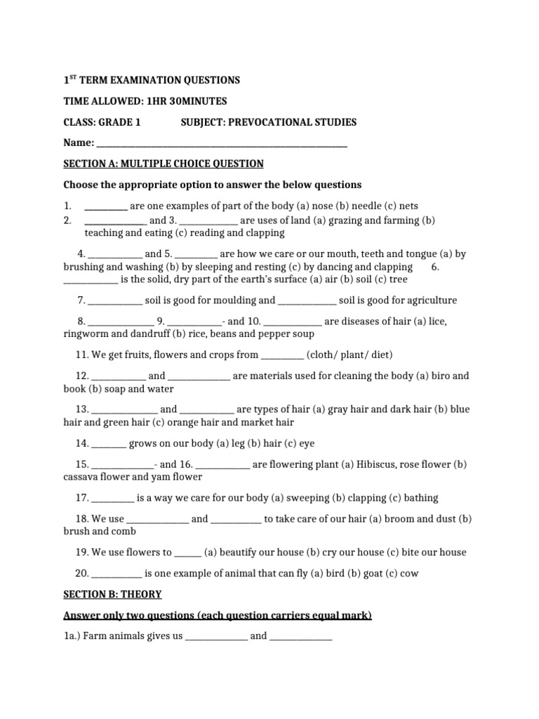 Grade 1 Prevocational Exam Questions | PDF