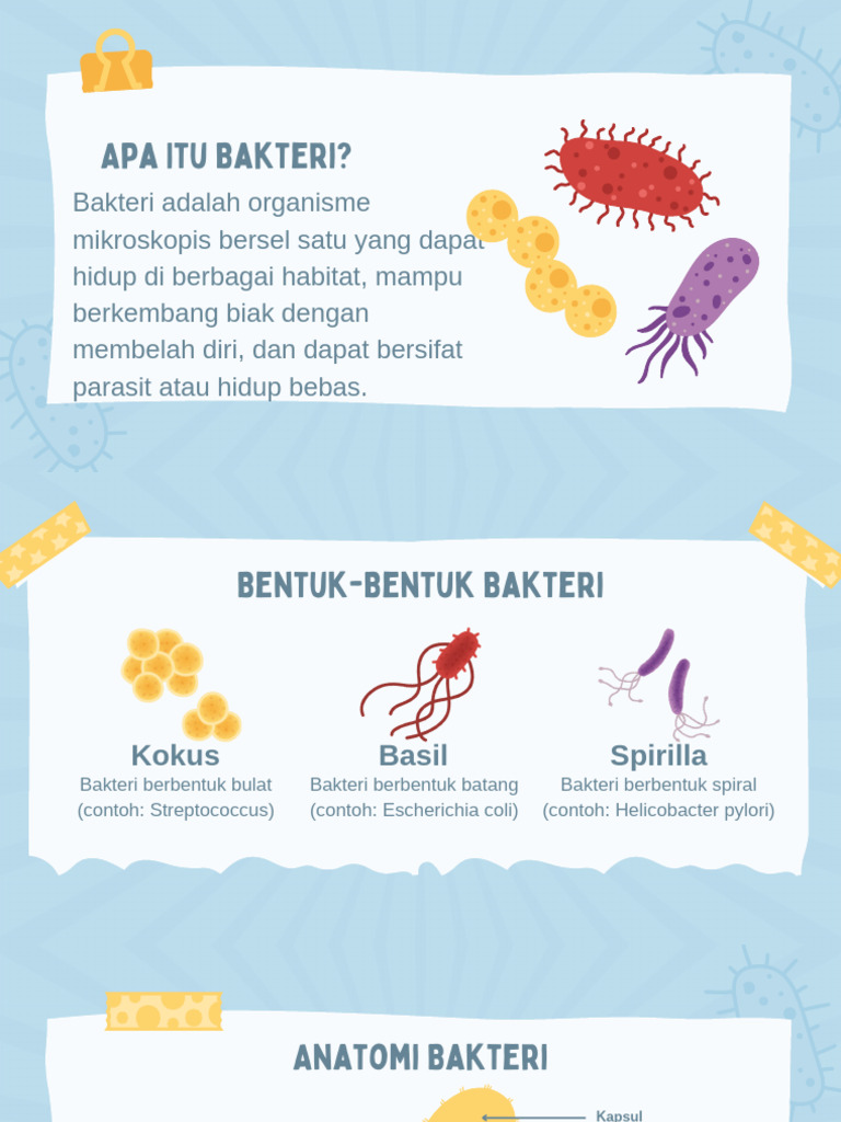 KJ Struktur Bakteri | PDF