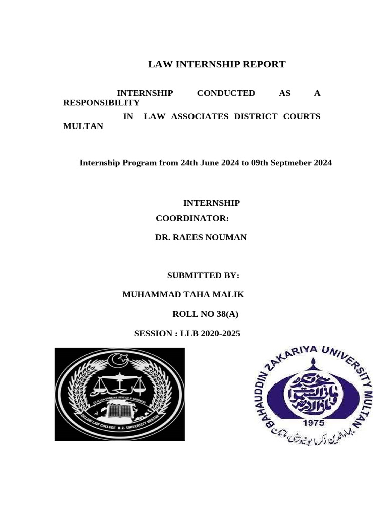 Ali.s Internship Final Report | PDF