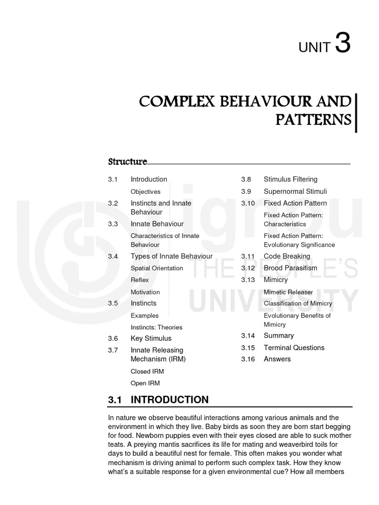 Unit 3 | PDF