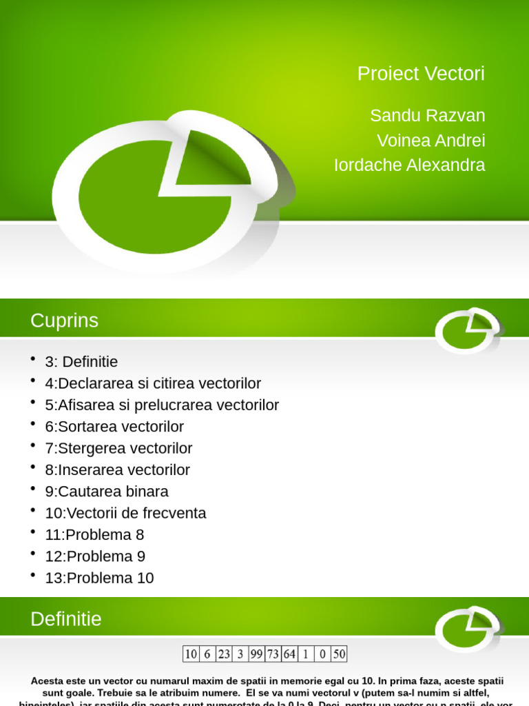 Proiect Vectori | PDF