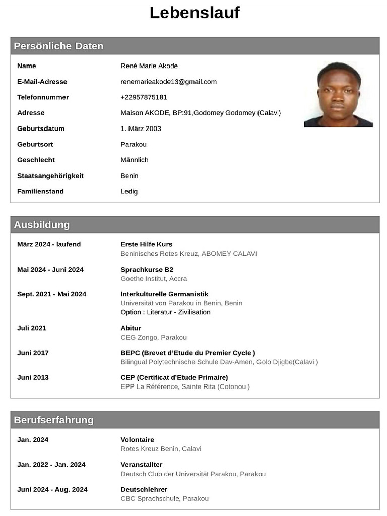 Lebenslauf New Akode | PDF