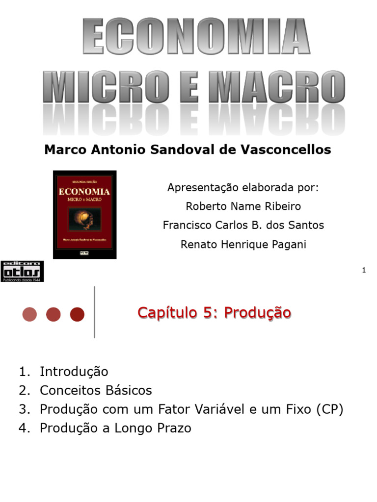 Economia Micro E Macro Capã Tulo 5 E 6 Pdf