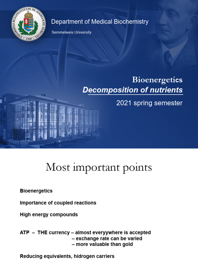 Bioenergetics 1 | PDF