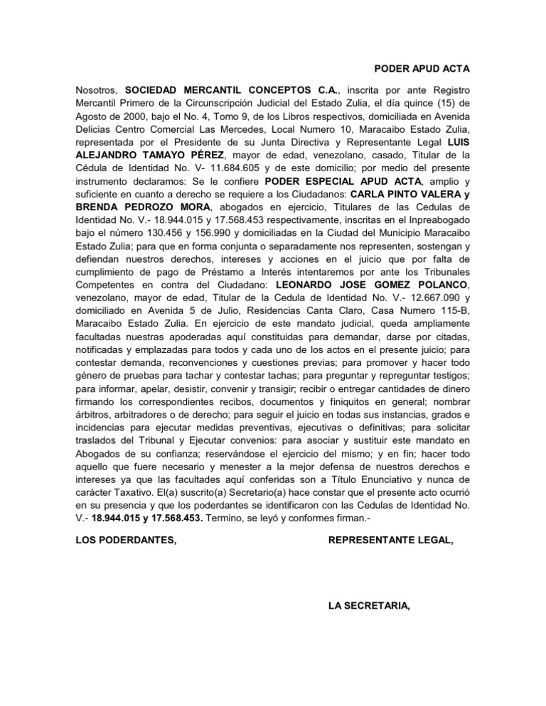 Modelos de Poder Apud Acta en Venezuela | PDF