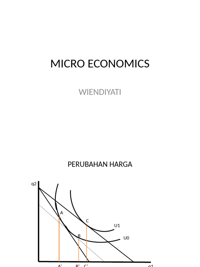 Micro Economics | PDF