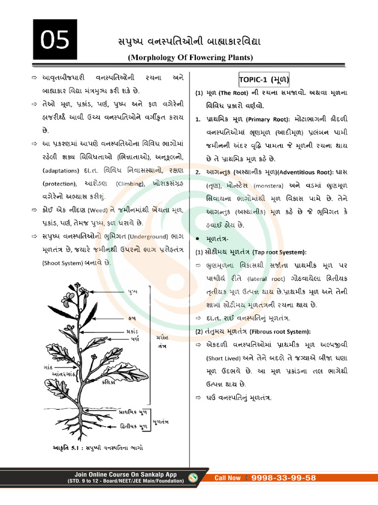 STD 11 Bio Ch5 Neet-Jee Module With DPP Final | PDF