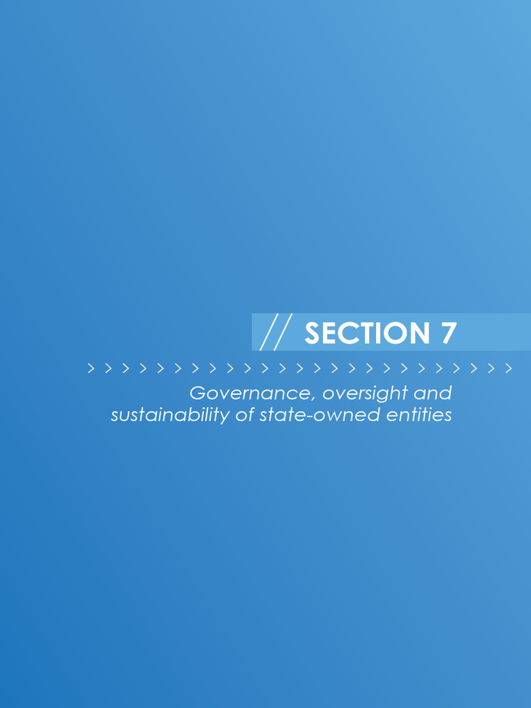 PFMA2018-19 - Section 7 | PDF | Audit | State Owned Enterprise