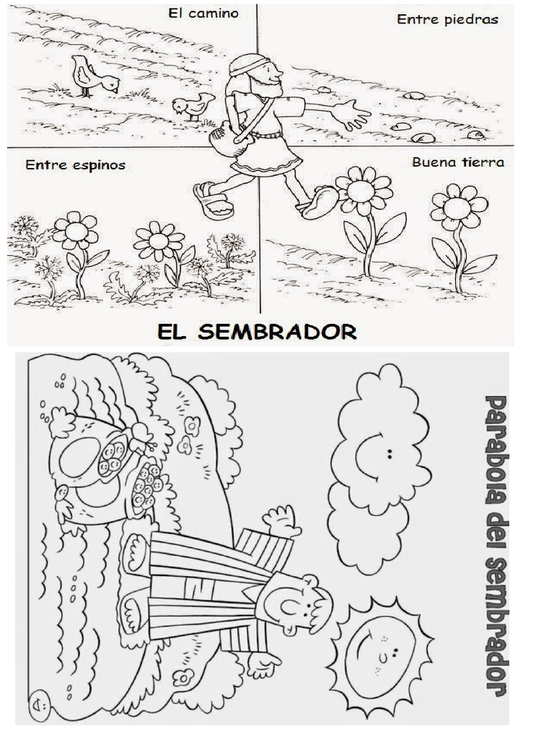 La Parábola Del Sembrador | PDF
