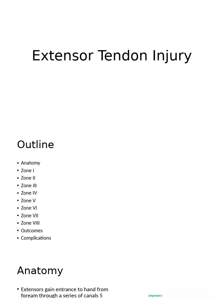 Extensor Tendon Injuries | PDF