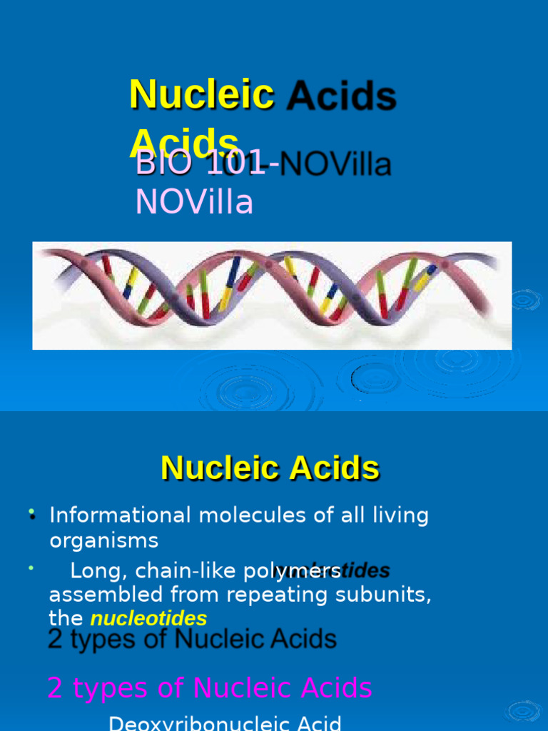 Prelim 4 Nucleic Acids | PDF