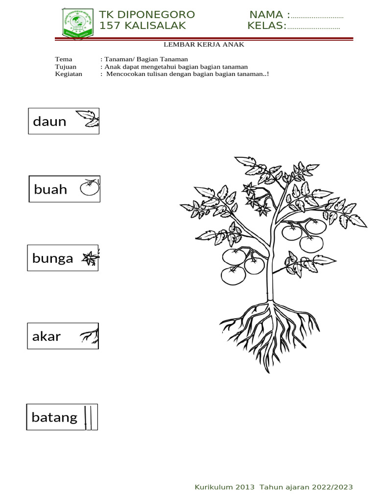 Lka Kelas B Tanaman | PDF