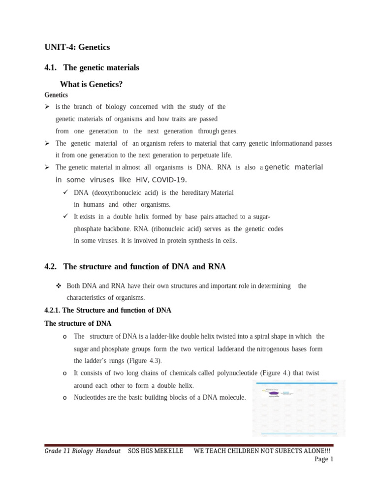 Grade 11 Unit-4 Bio Hand Out | PDF