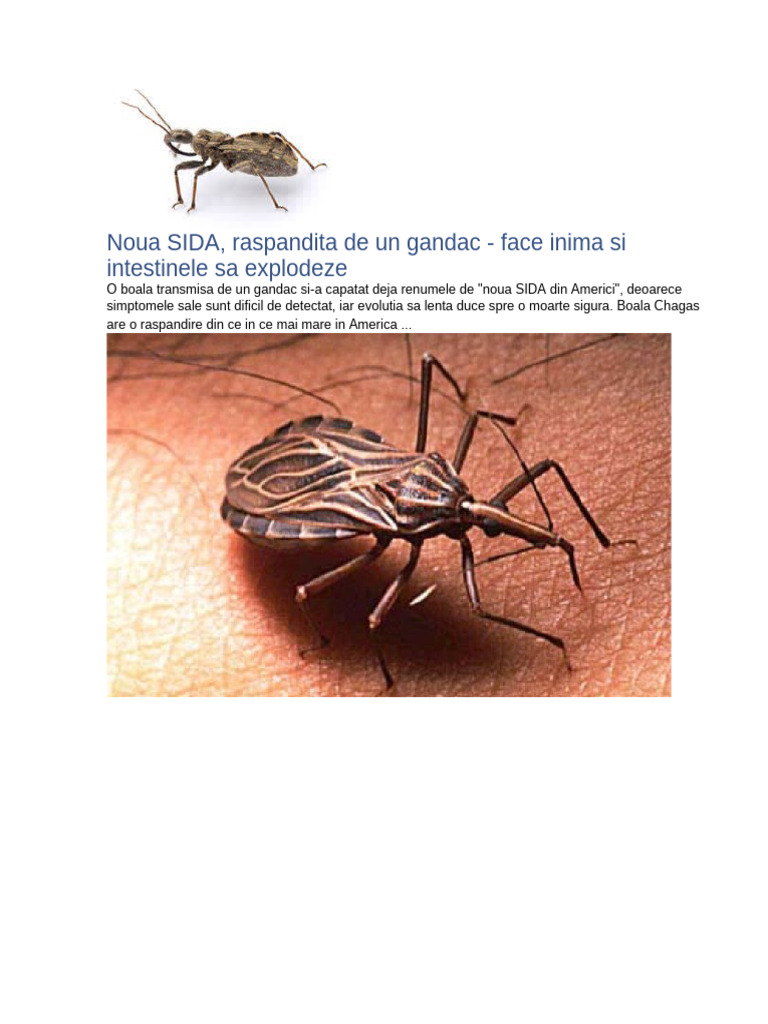 Boala Chagas | PDF