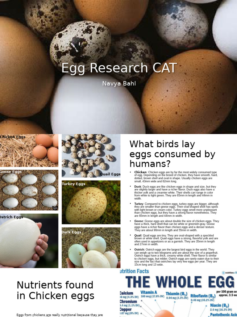 Egg Research CAT | PDF