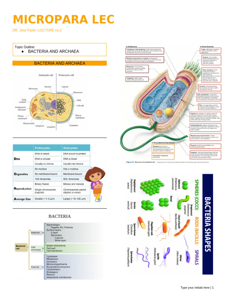 Micro Lec Week 2 | PDF