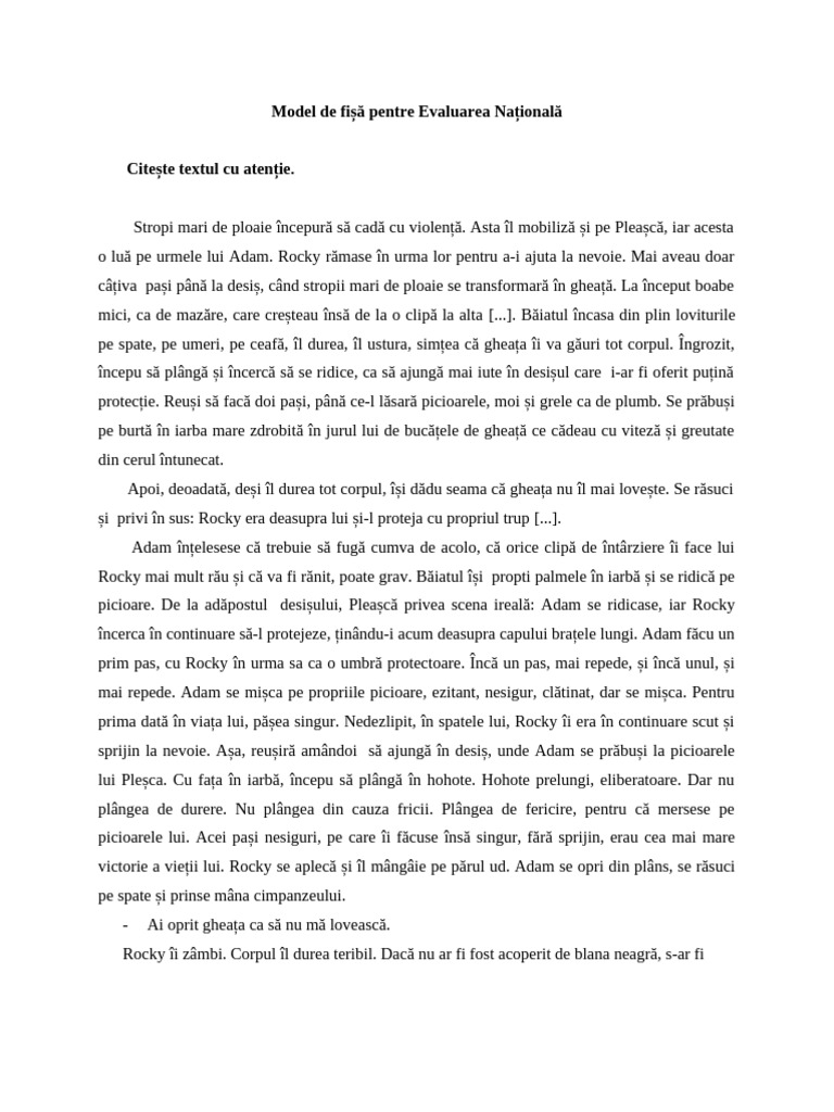 Baterie - Fișe - Model - Evaluare Națională - 2024 - Caracterizare de ...