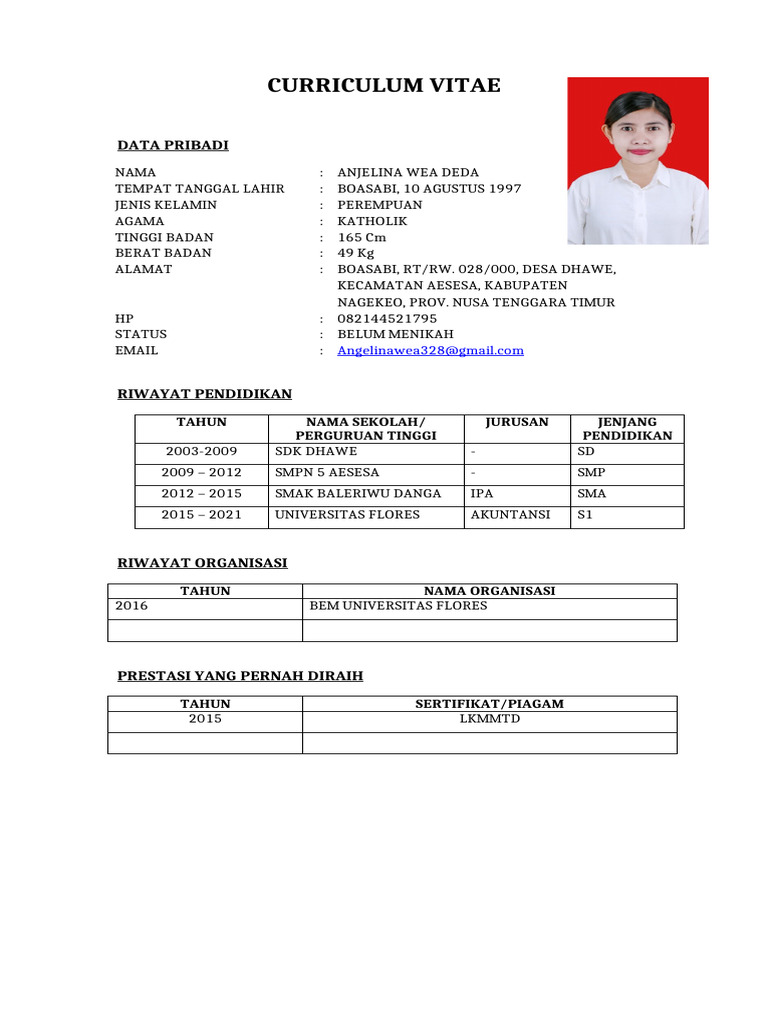 Contoh Format CV | PDF