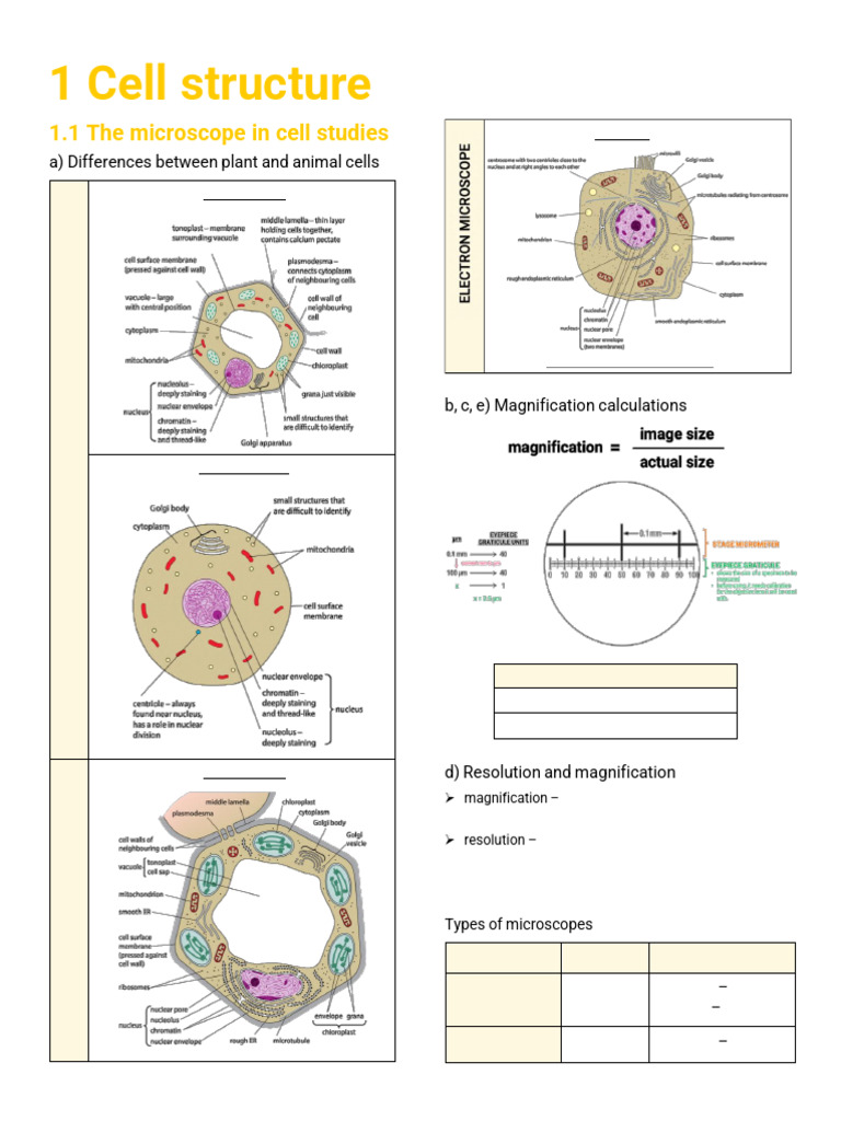 1 Cell Structure | PDF