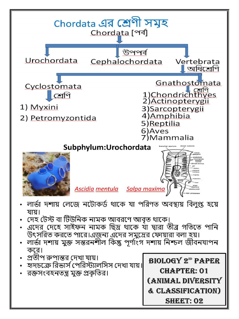 Zoology Sheet 01Bpdf | PDF