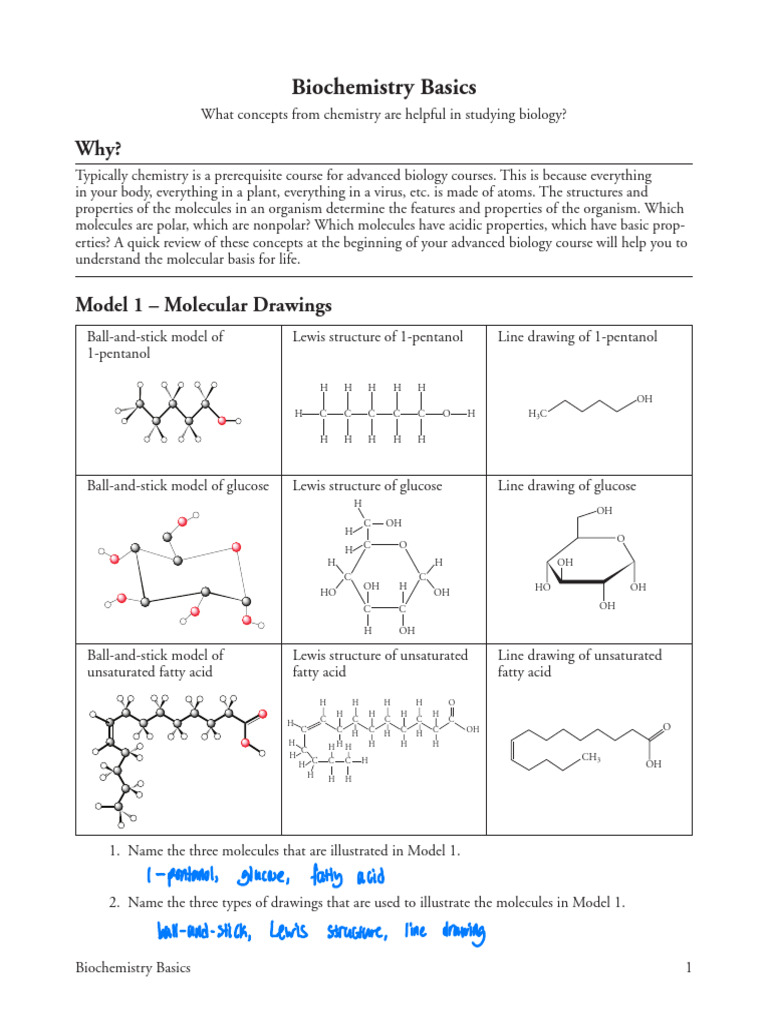 1 Biochemistry Basics-S | PDF