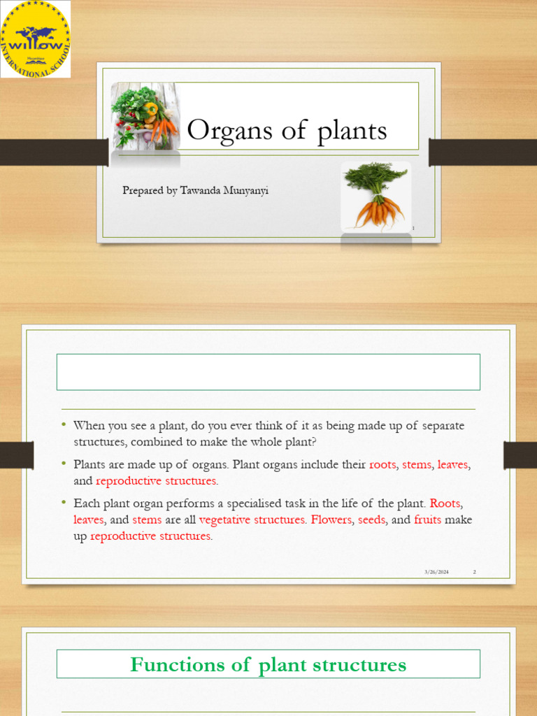 Grade 9-Organs of Plants | PDF