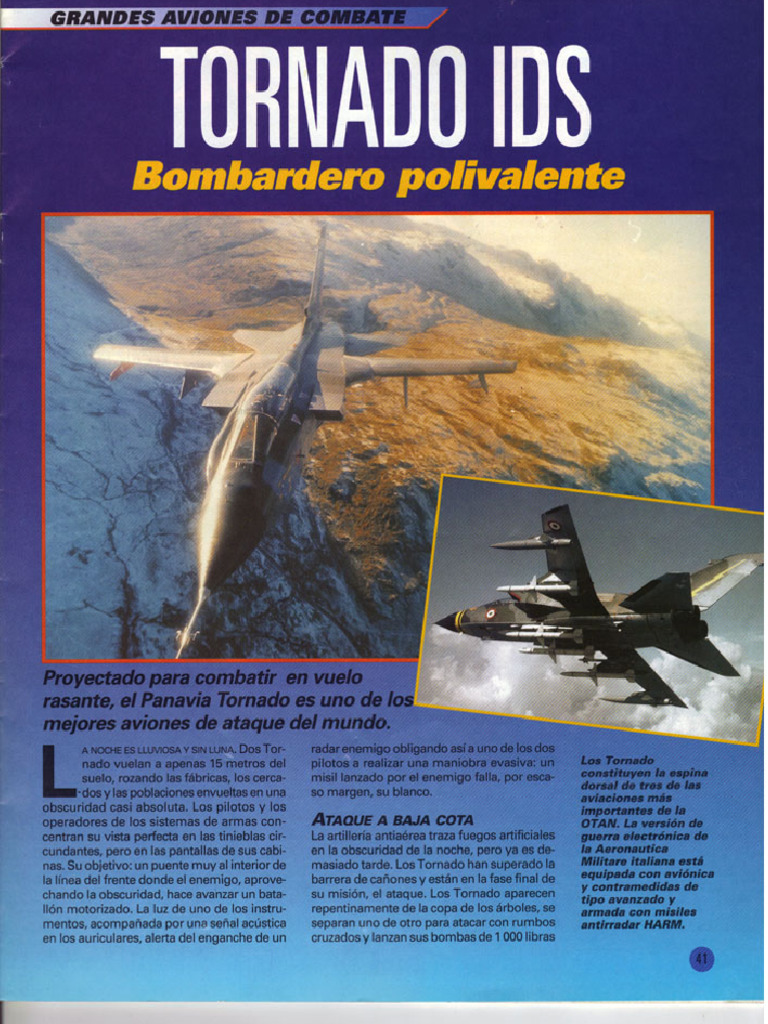 Tornado IDS | PDF