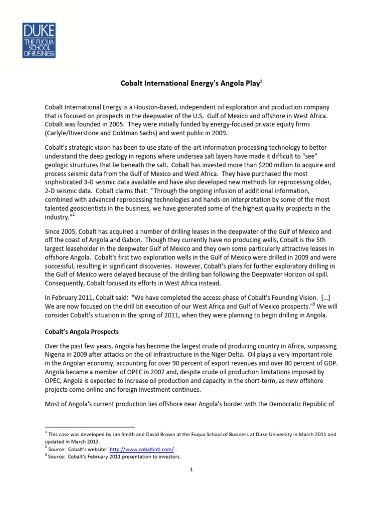 Cobalt Energy 2013 | PDF