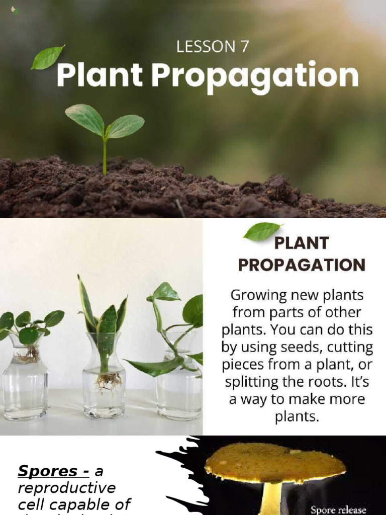 Lesson 7 - Types of Propagation | PDF