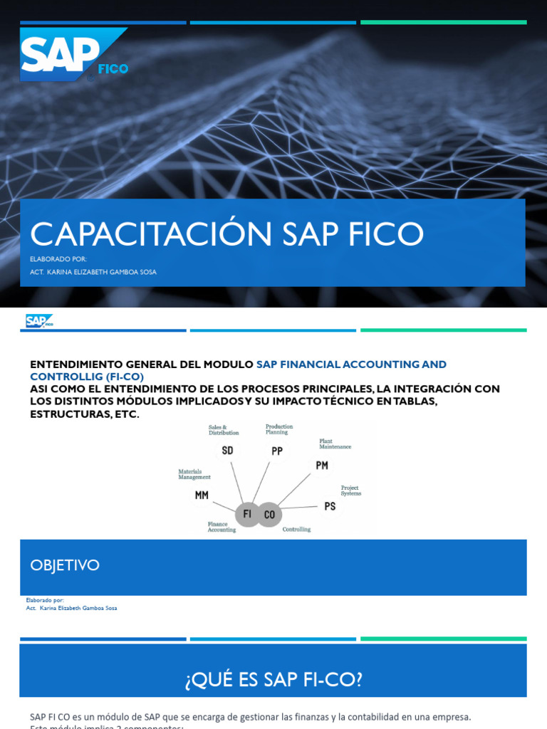 Capacitación Sap Fi Co | PDF | Contabilidad | Industrias de servicio