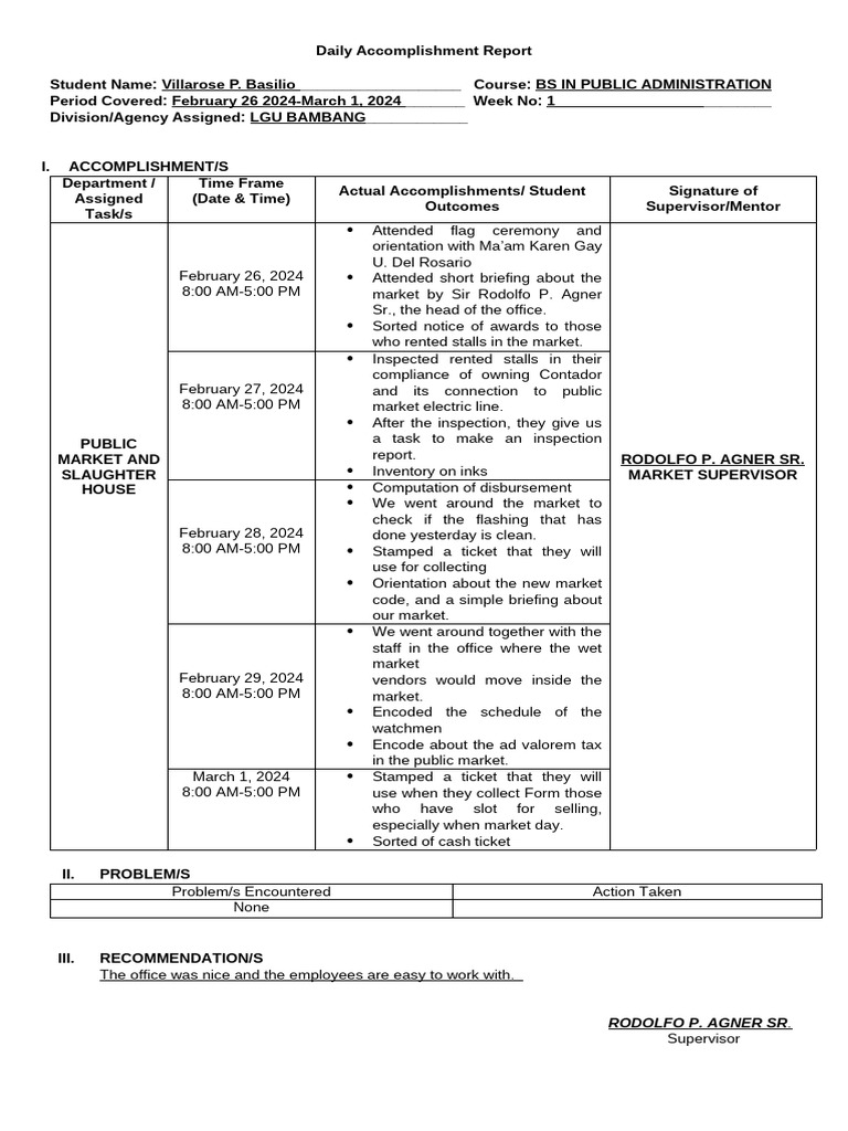 Daily Accomplishment Report | PDF