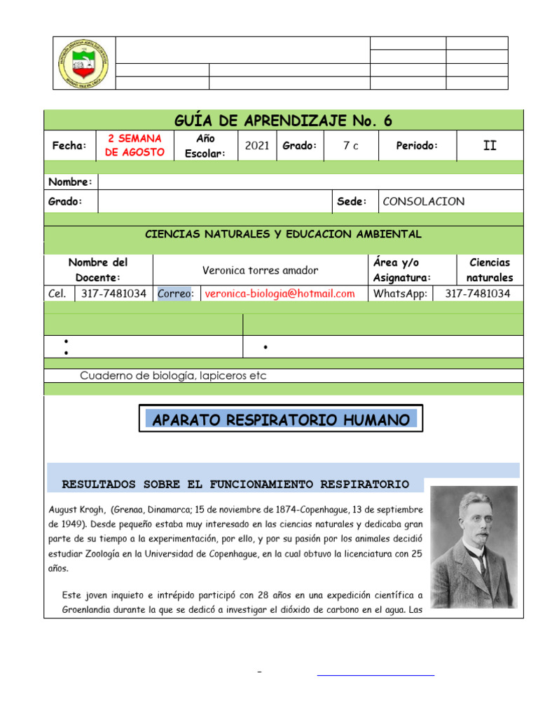 6 Guia - 7c - 2p EL APARATO RESPIRATORIO | PDF
