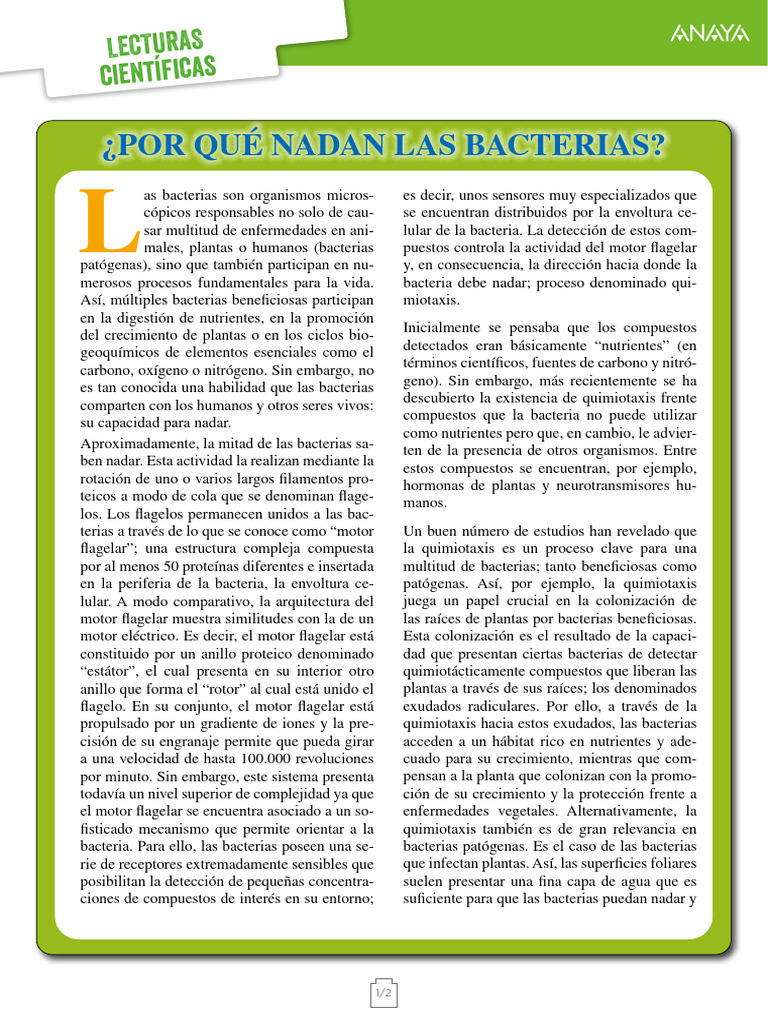 Quimiotaxis Bacteriana: Función Vital | PDF | Las bacterias | Salud y ...
