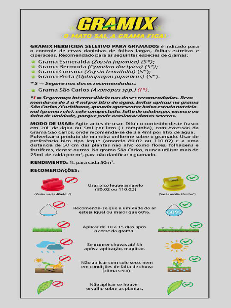 Bula Gramix - Comprimida | PDF