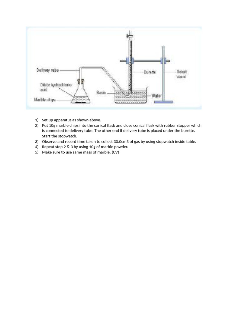 Science Exp Example | PDF