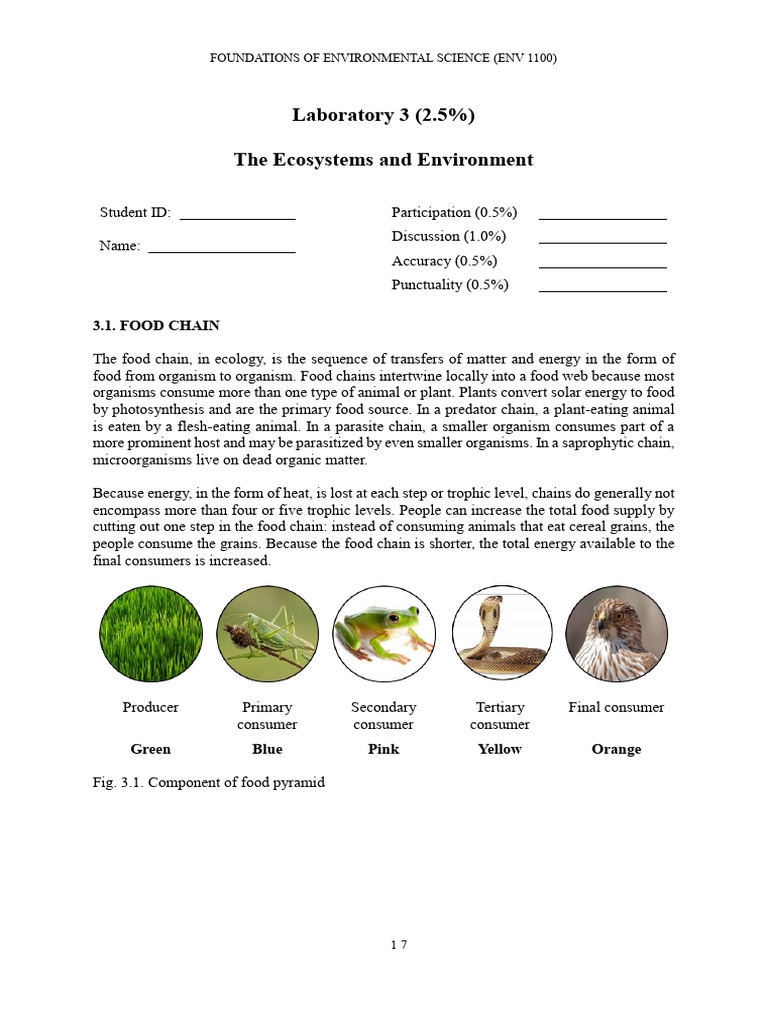 Laboratory 3 - The Ecosystems and Environment | PDF