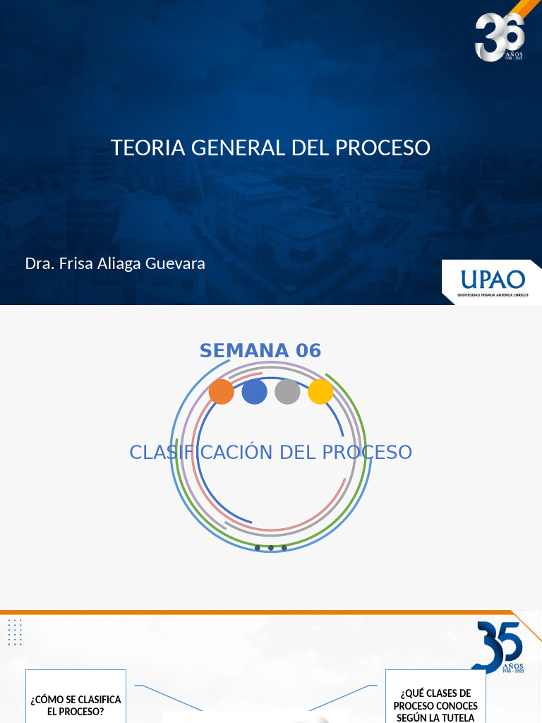 S06 TGP Clasificación+Del+Proceso | PDF
